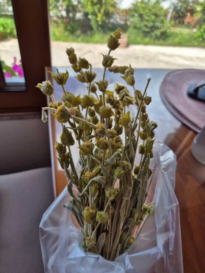 23 Albanien Geheimtipps: Strände, Städte, Natur & Kultur